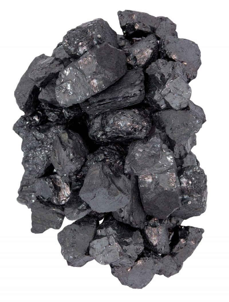 Kolen en briketten kopen | Rijnen BV